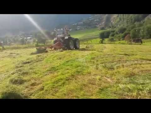 Ford County 1164 rakeing second cut
