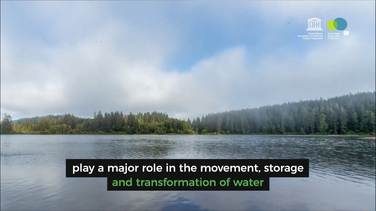 Reflections from the UN World Water Development Report 2018 #5
