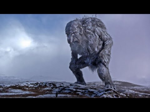 No one Believes This Creature exists Until One Day....