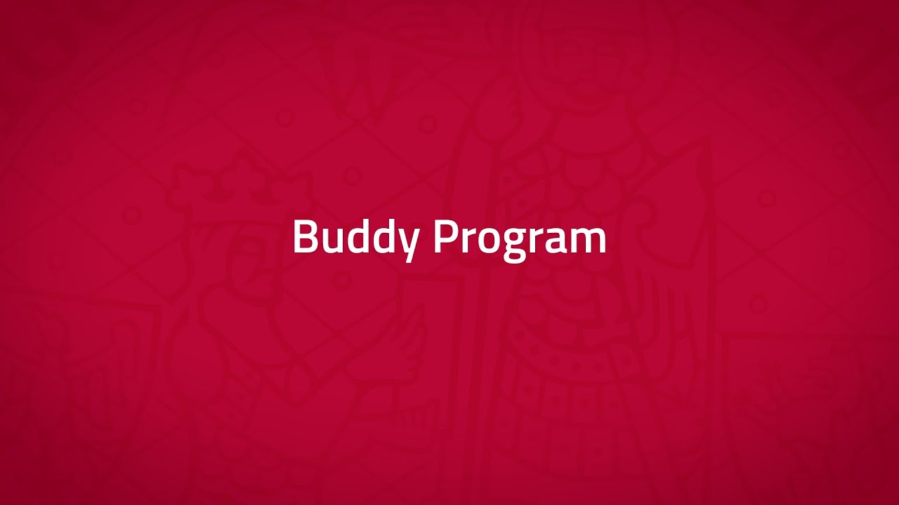 FSV UK: Buddy Program