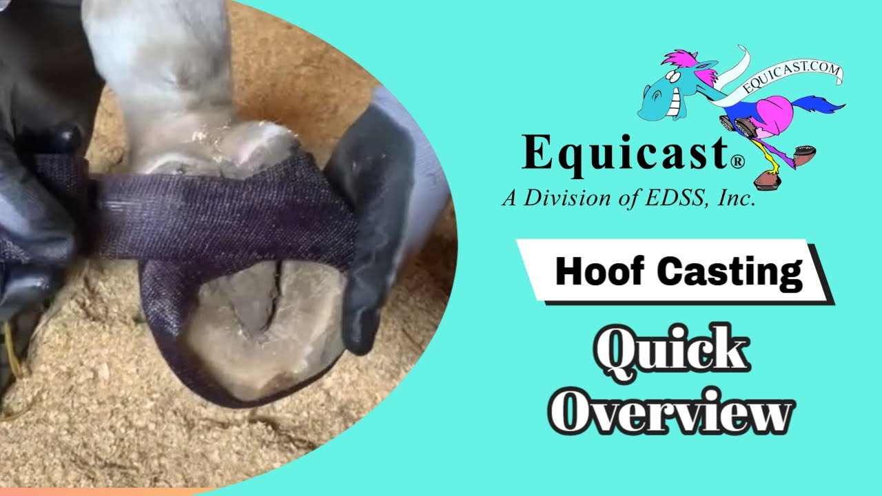 Hoof Casting - Quick Overview