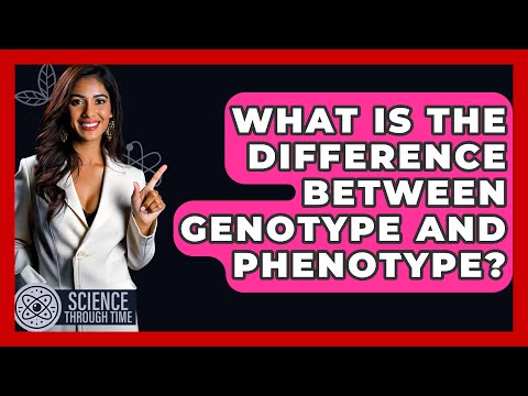 What Is The Difference Between Genotype And Phenotype? - Science Through Time