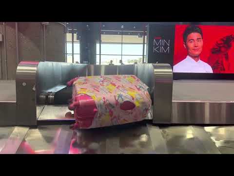 Live Luggage Delivery to Carrousel #13 in Las Vegas - McCarran - Reid Airport