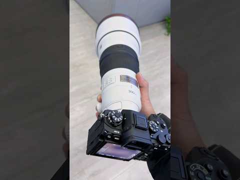 Sony α9 III & Sony FE 300mm F2.8 GM OSS Lens photography 8k