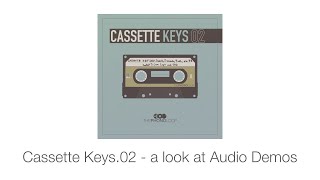 THEPHONOLOOP Cassette Keys.02 for Kontakt - What To Know & Where To Buy ...