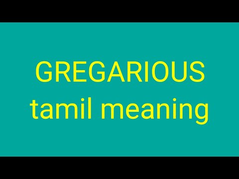 GREGARIOUS(sorry adjective) tamil meaning/sasikumar