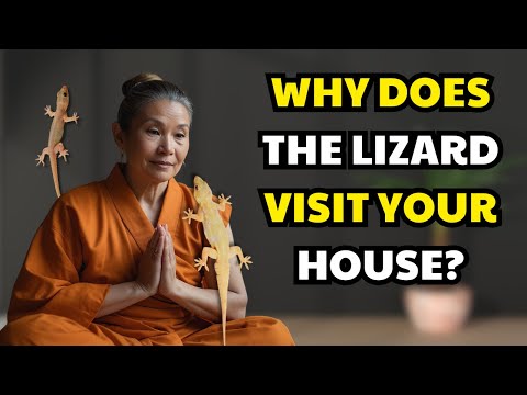 The Spiritual Meaning of the Lizard in your House – Buddhist Teachings