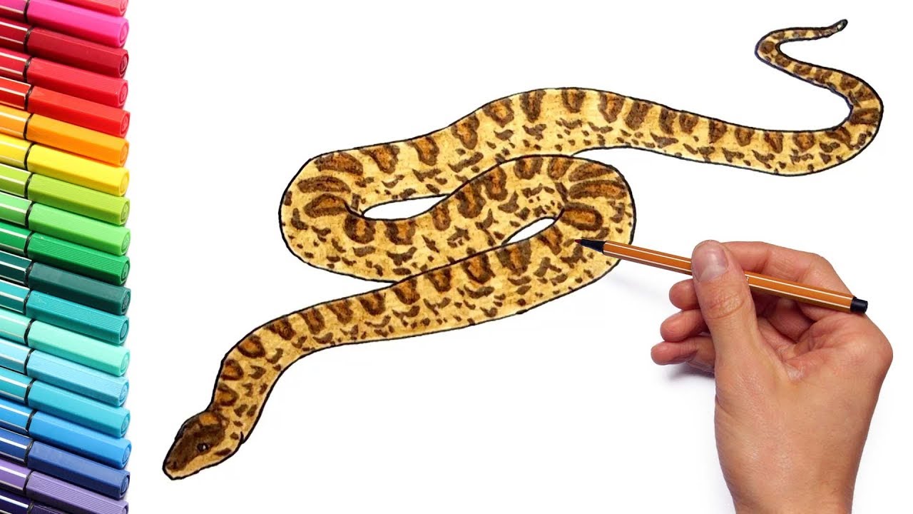 Anaconda Giant Snake Drawing and Coloring Pages for Kids - I-Rex Dinosaur Coloring Page