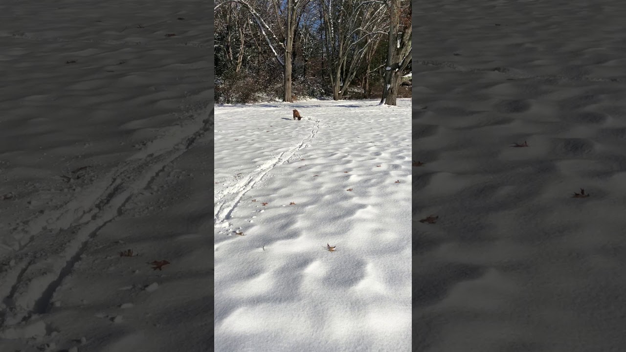 Axel’s first snow day