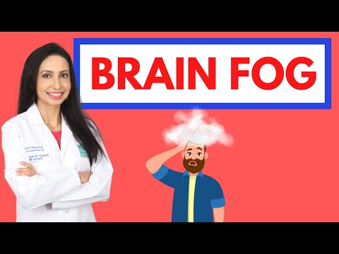 Dr. Rajsree's Guide to BRAIN FOG! Root Causes and Natural Tips to Improve Your Mental Clarity!