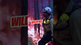 Back Burning Helps Prevent Wildfires #shortvideo #shorts #youtubeshorts