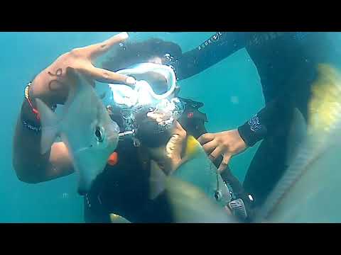 Goa | A true experience | Short Travelogue |