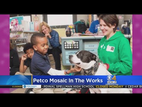 PETCO Wants Photos Of Your Adopted Pet