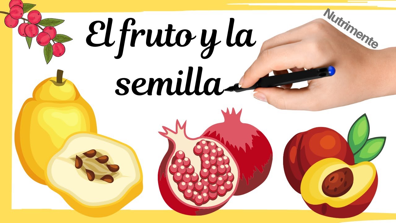 The FRUIT and the SEED
