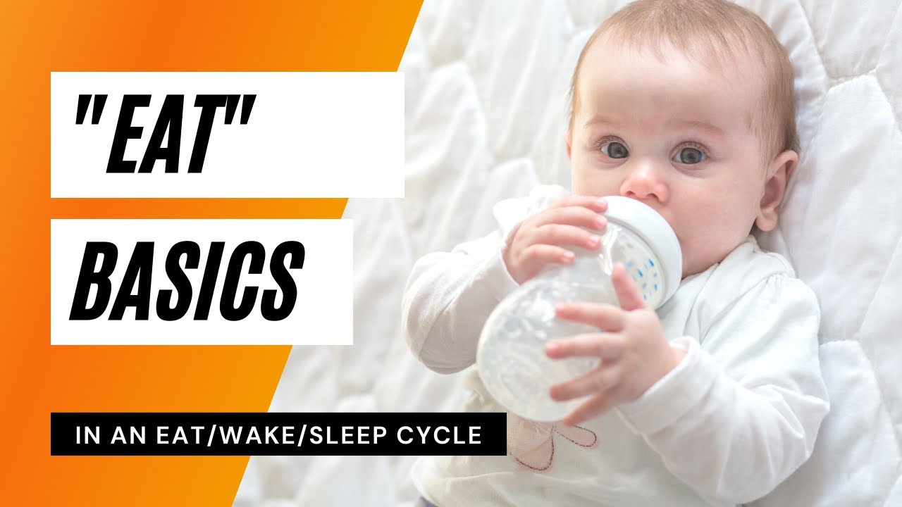 Eat Basics in an Eat, Wake, Sleep Cycle