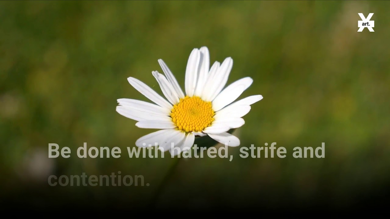 JULY 3, 2020 - SMALL STRAWS IN A SOFT WIND   Let this time be one of forgiveness and reconciliation.