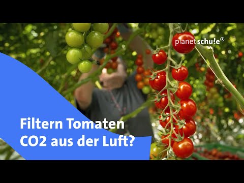 CO2 aus der Luft filtern - Kühlung für die Erde | planet schule