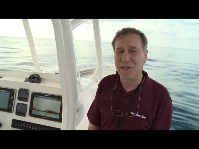 RAYMARINE B265LM Thru-Hull CHIRP Transducer