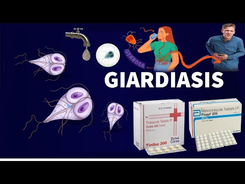 Giardiasis Infection Sources, Complications, Signs & Symptoms, Diagnosis, Treatment | Medications