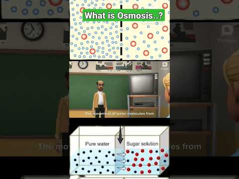 Osmosis | Transport process of Cell | #biology #cellbiology #osmosis