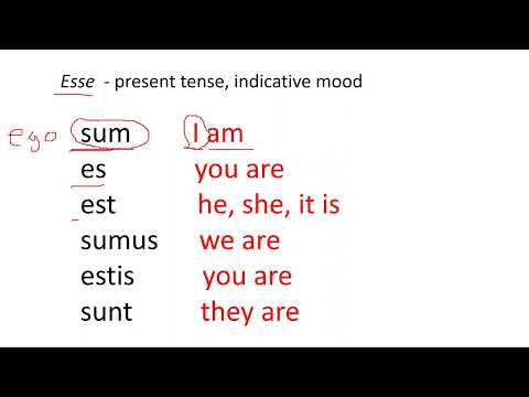 Latin verbs: esse