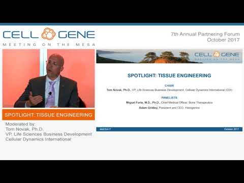Spotlight: Tissue Engineering