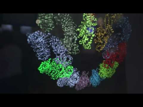 CryoEM Demo on Dell PowerEdge C6320 at SC16