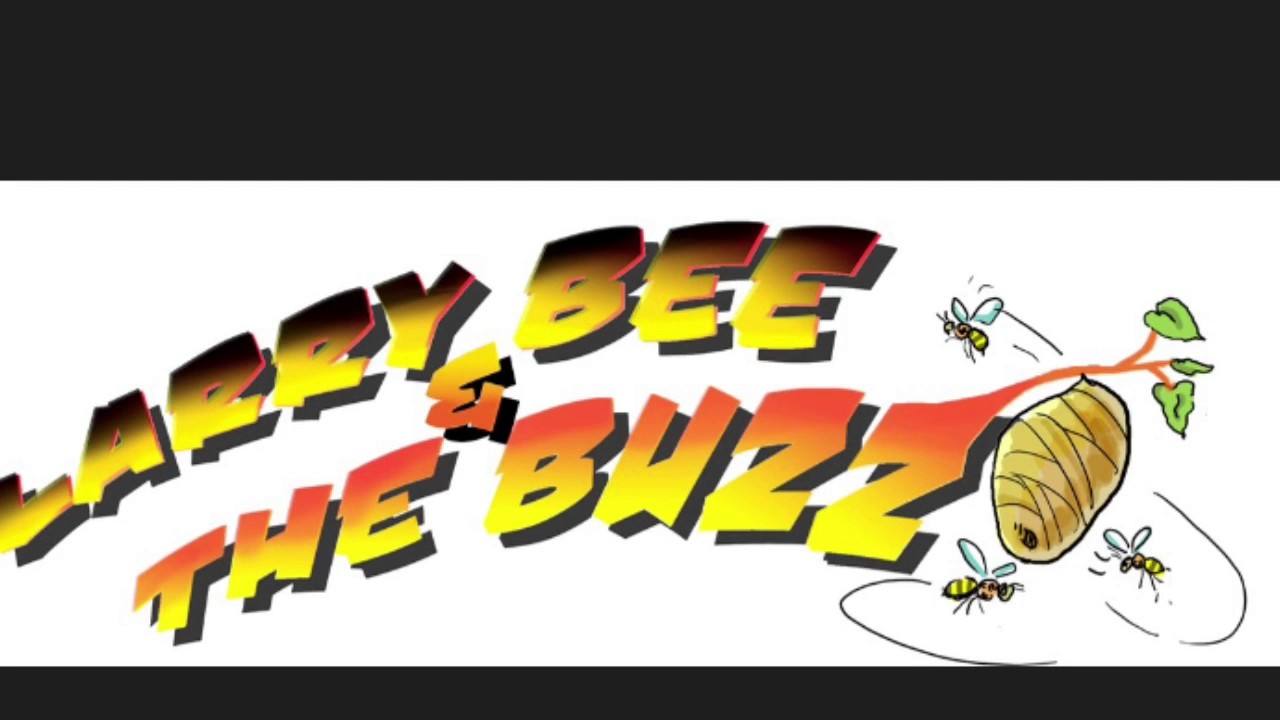 Hire Larry Bee and the Buzz - 1960s Era Entertainment in Hudson ...