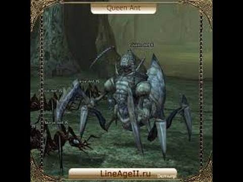 COMO CHEGAR RAID BOSS QUEEN ANT ( QA ) LINEAGE 2 – MyLineage