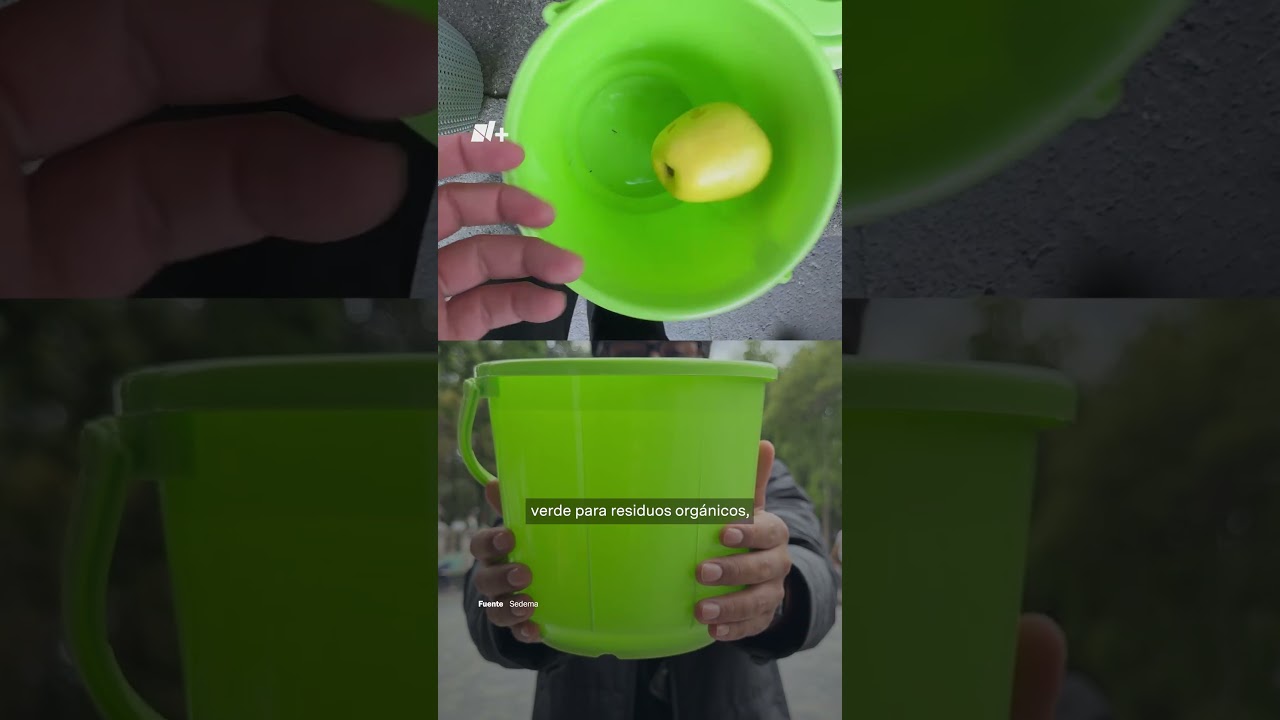 Guía rápida: la nueva separación de basura en CDMX