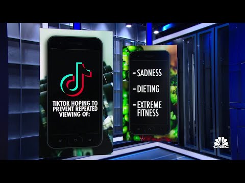 TikTok unveils new ratings system for videos