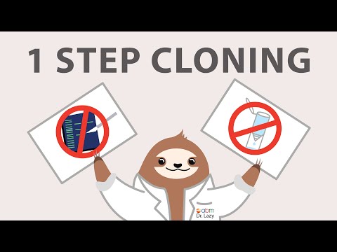 One-Step Multi-fragment Cloning with the Pro Ligation-free Cloning Kit