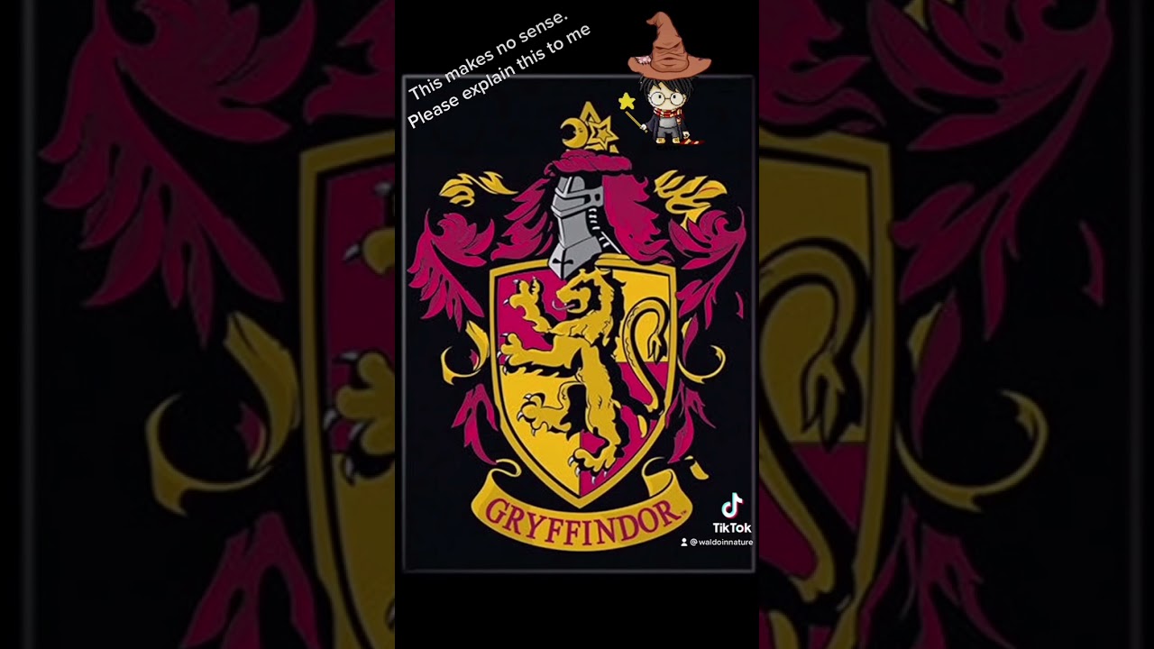 Wtf are the Harry Potter house crests? 😝🥴🤯