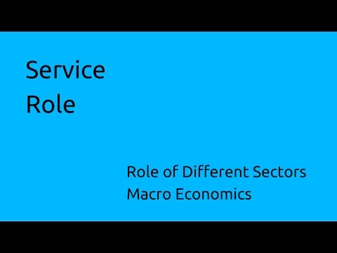 Role of Service Sector Video Lecture - Business Economics for CA Foundation