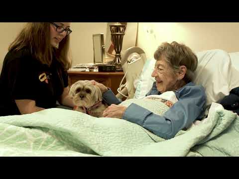 Alliance of Therapy Dogs - Sharing Smiles and Joy