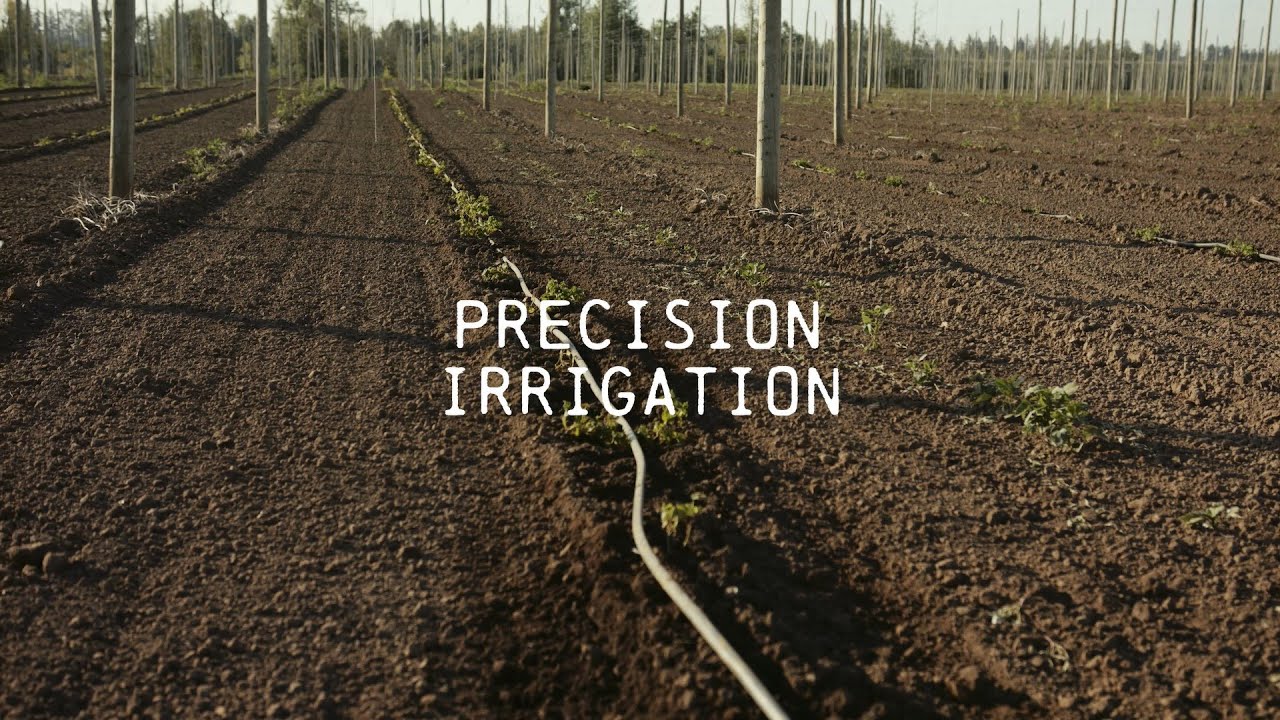 Precision Irrigation