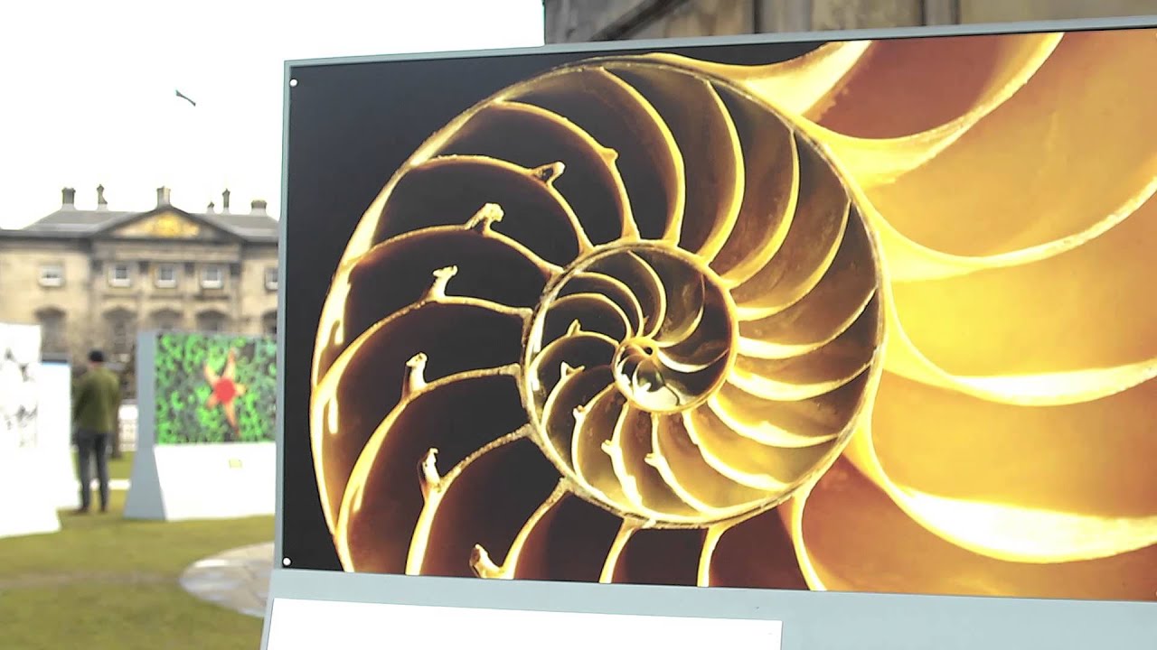 Patterns in Nature brings together art and science