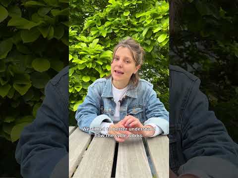 Recent Research: How Nature Availability Affects Nature Connectedness