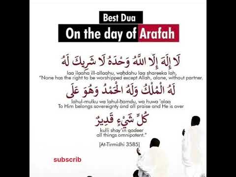Bestdua on the day of Arafa/ Zill hajja 2023.#viral #allah #religion #dua #Arafa #youtubeshort