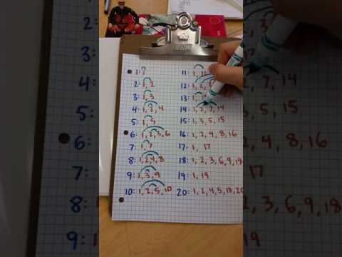 Factors(11)