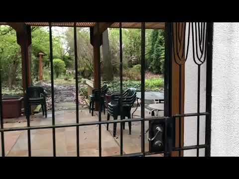 Take a tour of the Biblical Botanical Garden!