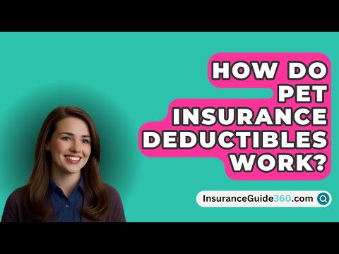 How Do Pet Insurance Deductibles Work? - InsuranceGuide360.com
