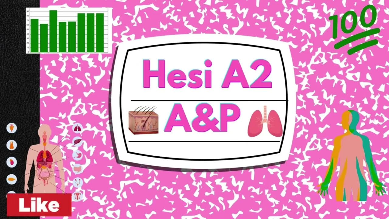 Hesi A2 A&P Review 2025-2026
