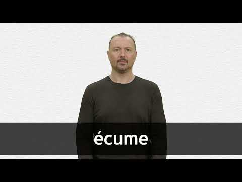 English Translation of “ÉCUME” | Collins French-English Dictionary