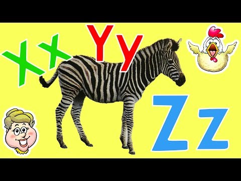 Can You Think of Any Words that Start with Z? 1000 Stickers: X, Y, and Z! EWMJ #391