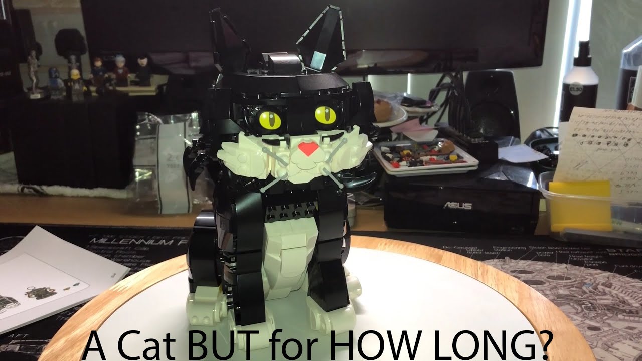 Magic Cat DK Tec Set Part 3