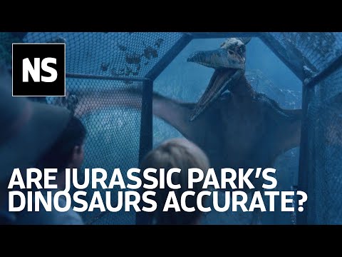 Are Jurassic Park’s dinosaurs actually scientifically accurate? 🦕