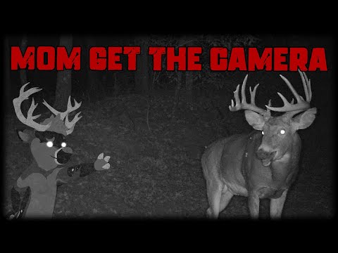 Steam Community :: Video :: Stuck in a FIREWATCH in a horror game ...