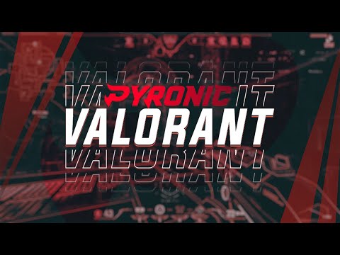 Introducing the World’s Best Valorant Team