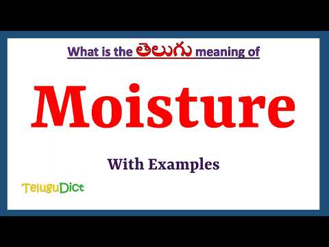 Moisture Meaning in Telugu | Moisture in Telugu | Moisture in Telugu Dictionary |